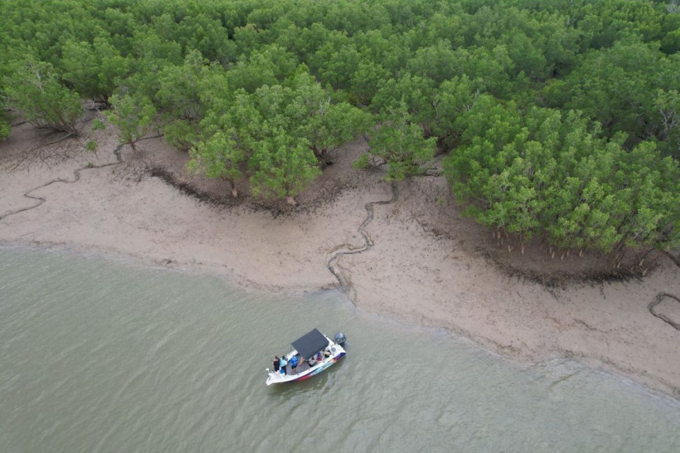 Half Day Darwin Fishing Charter | Barra Private Tours